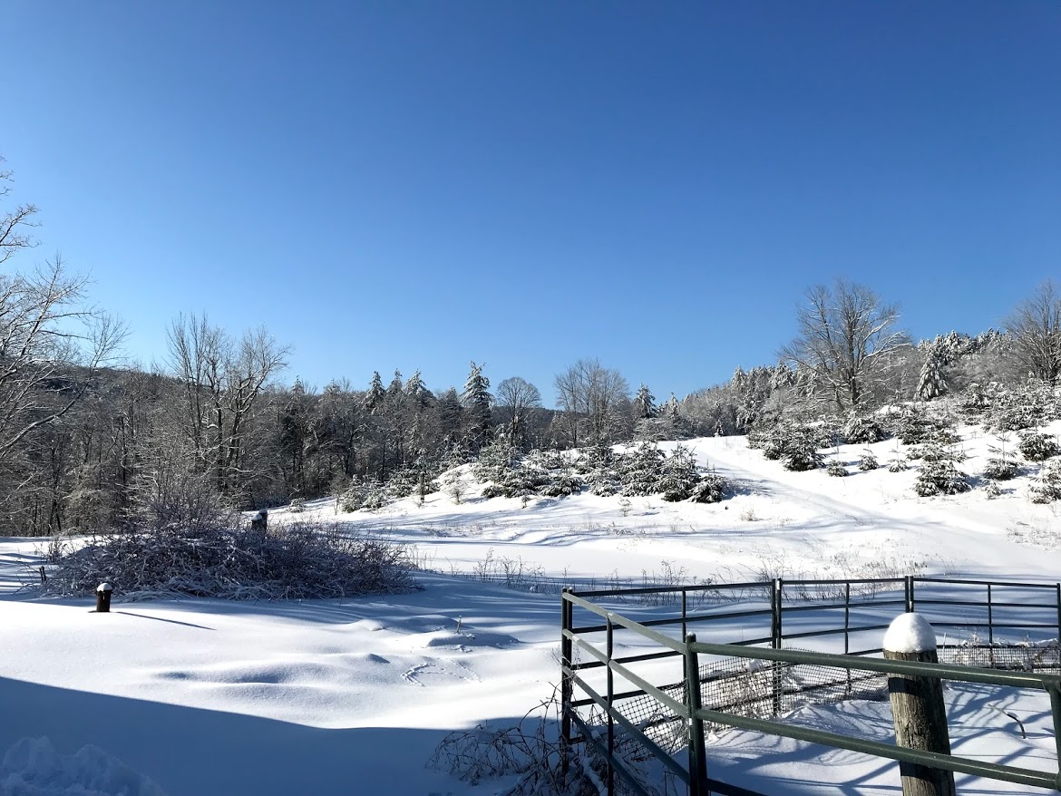 2019 Shook Some Foundations; 2020 is the Year to Make It Happen ...